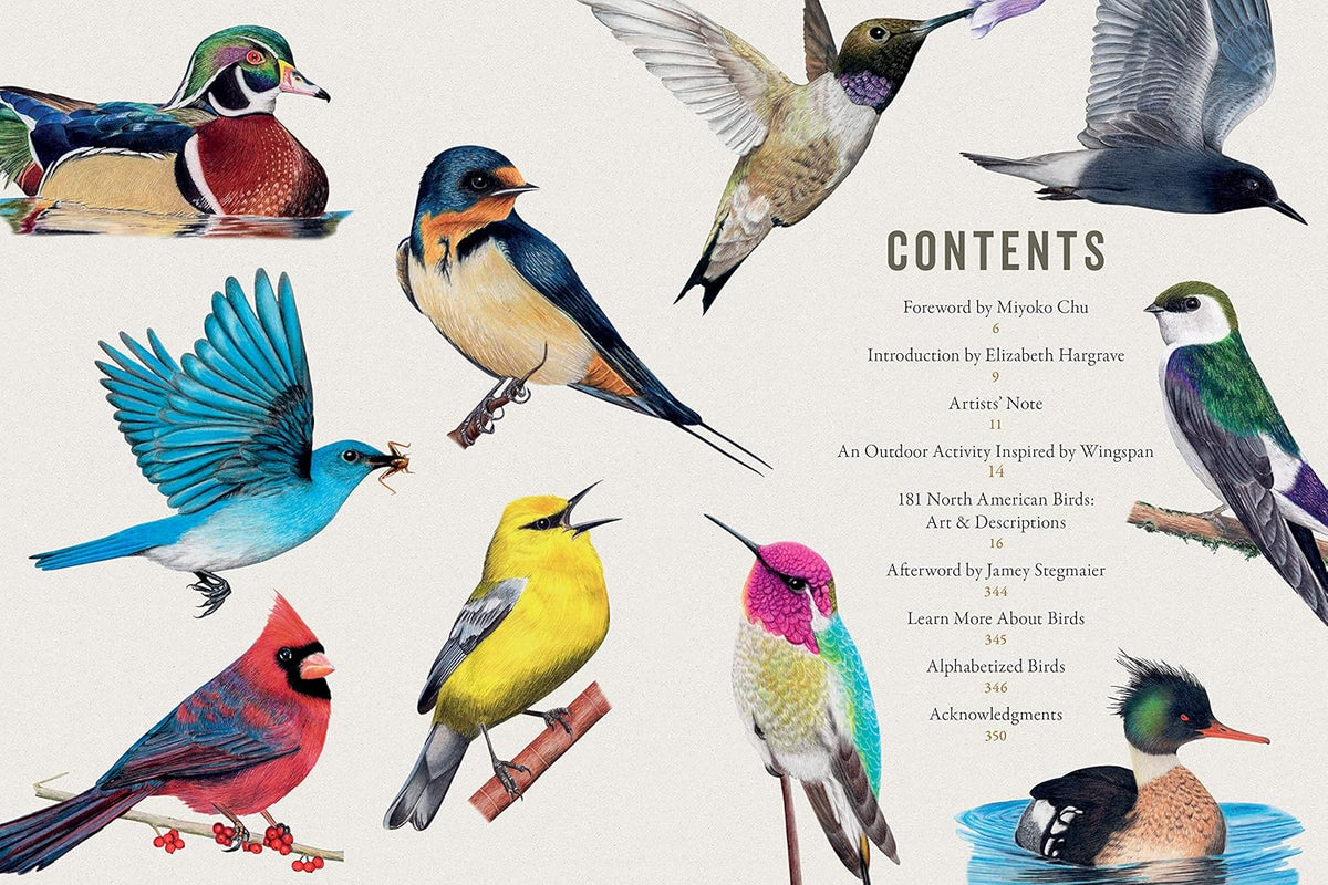 Celebrating Birds: An Interactive Field Guide Featuring Art from Wings ...